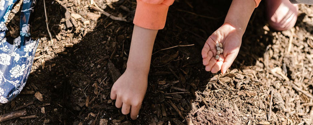 Why Planting Trees is the Ultimate Gift to the Earth